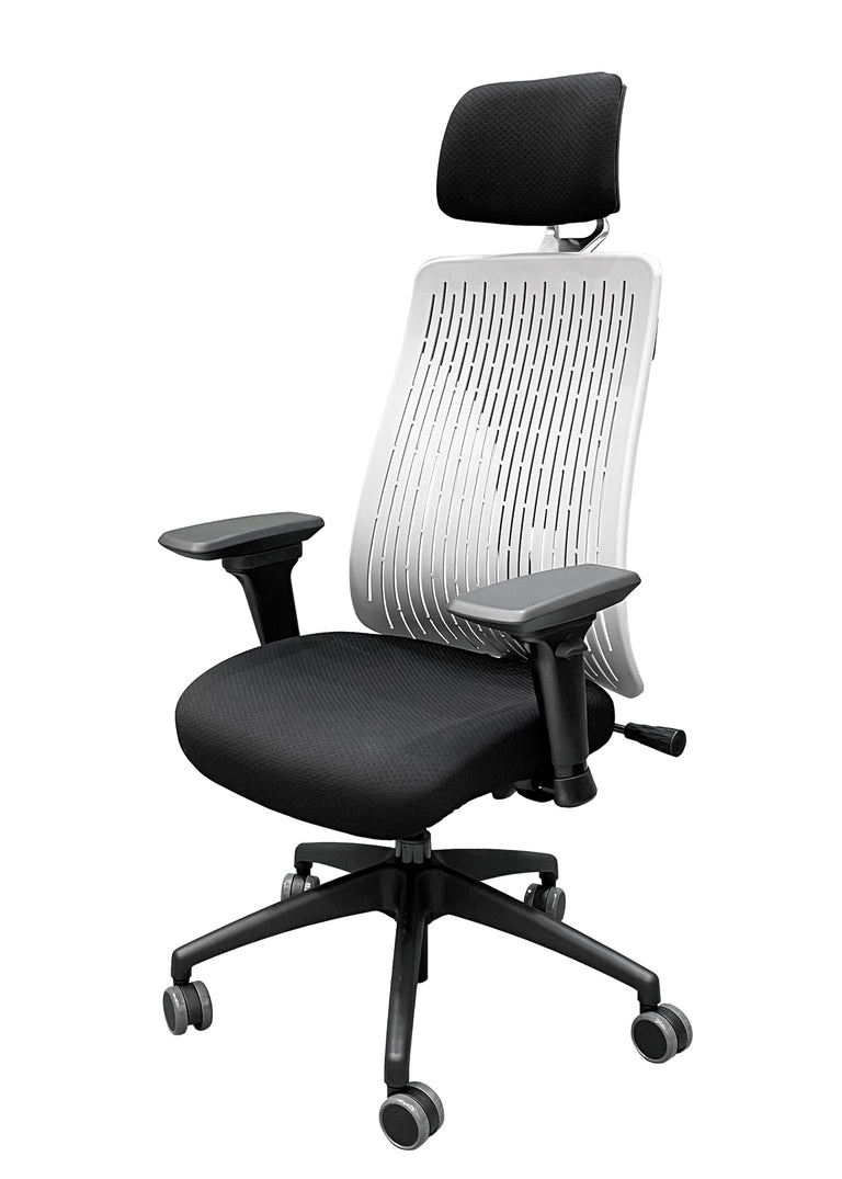 TRULY Ergonomic Chair – Ergoland